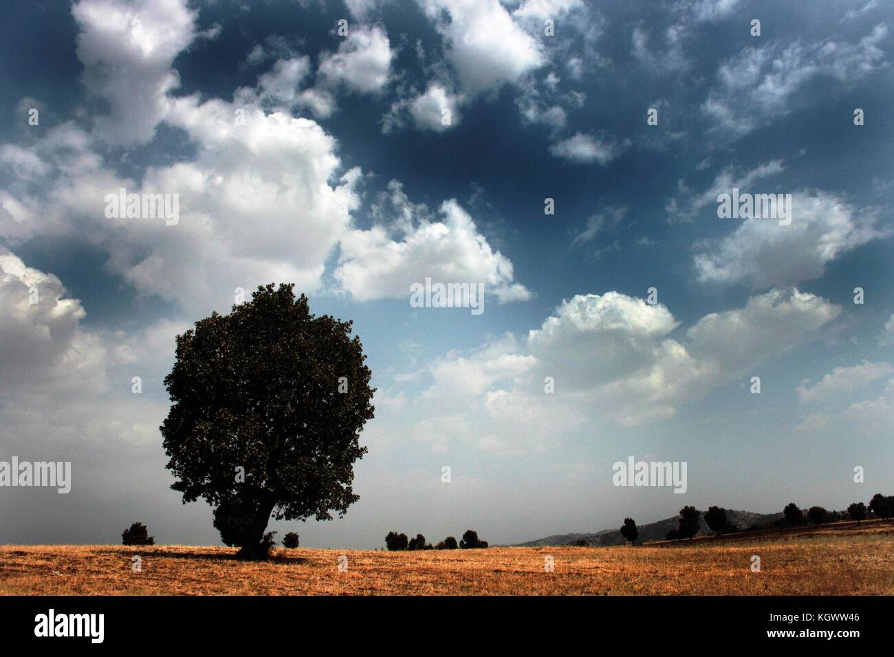 Kurdistan nature, landscape Stock Photo - Alamy