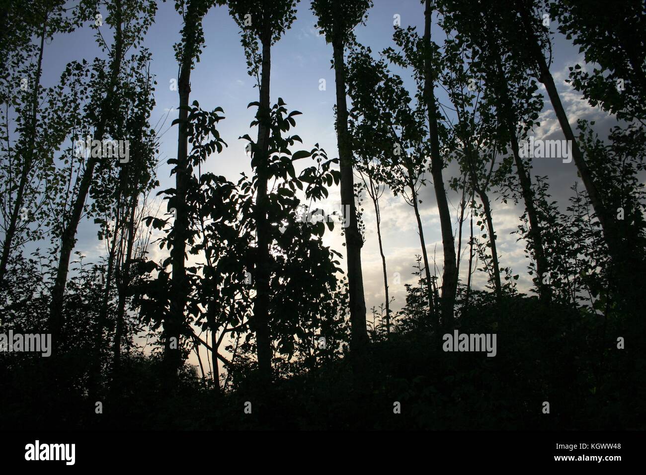 Kurdistan nature, landscape Stock Photo - Alamy