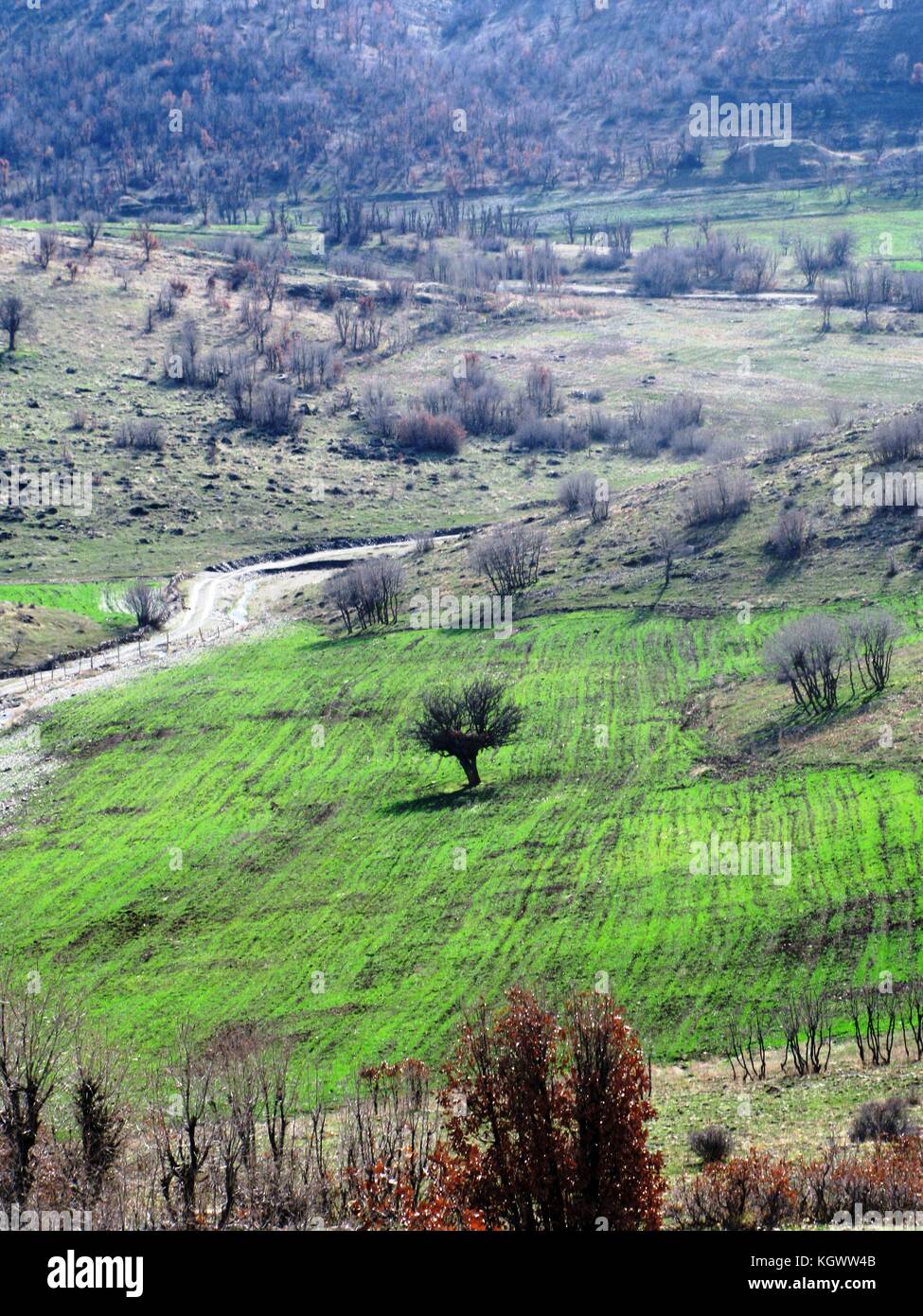 Kurdistan nature, landscape Stock Photo - Alamy