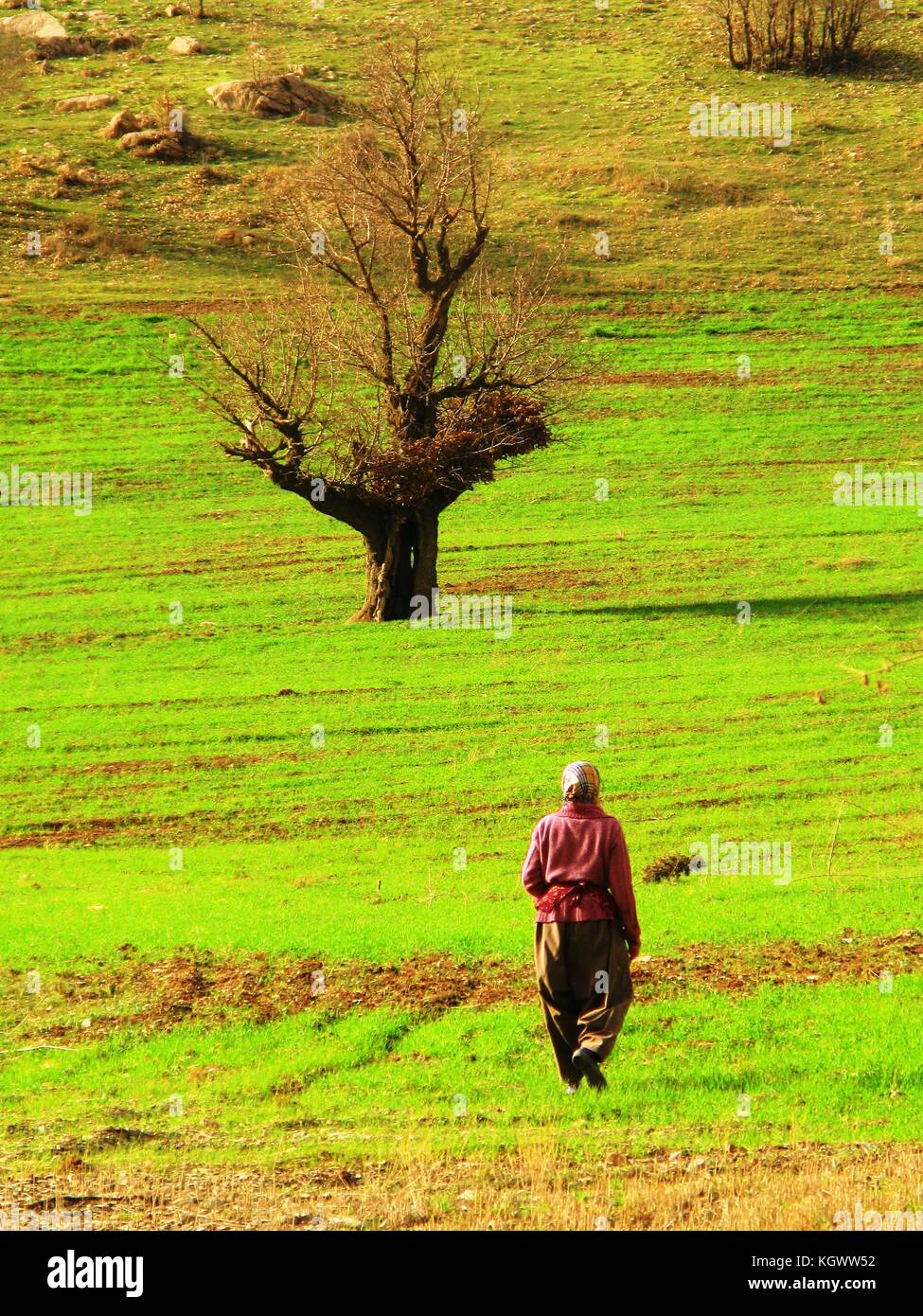 Kurdistan nature, landscape Stock Photo - Alamy