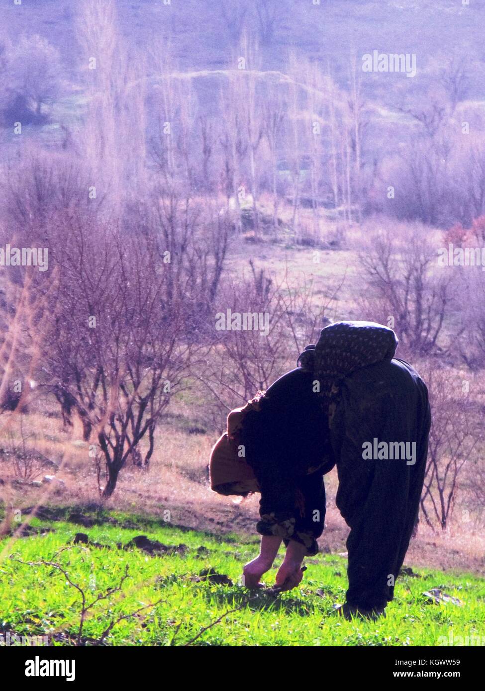 Kurdistan nature, landscape Stock Photo - Alamy