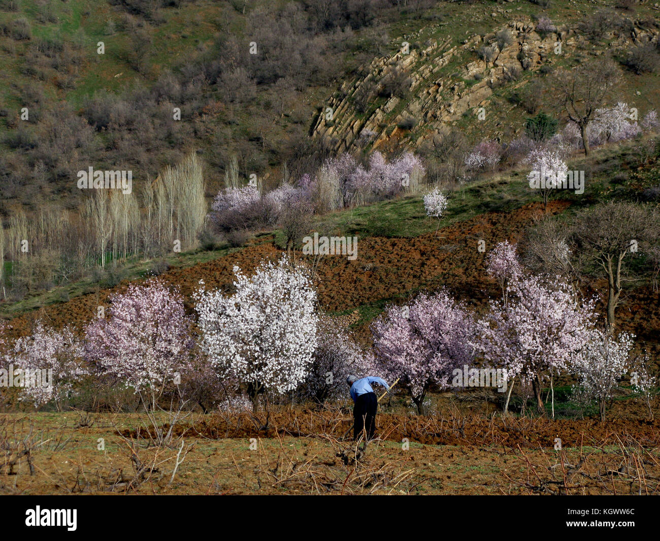 Kurdistan nature, landscape Stock Photo - Alamy