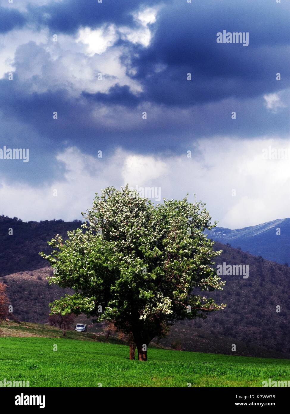 Kurdistan nature, landscape Stock Photo - Alamy