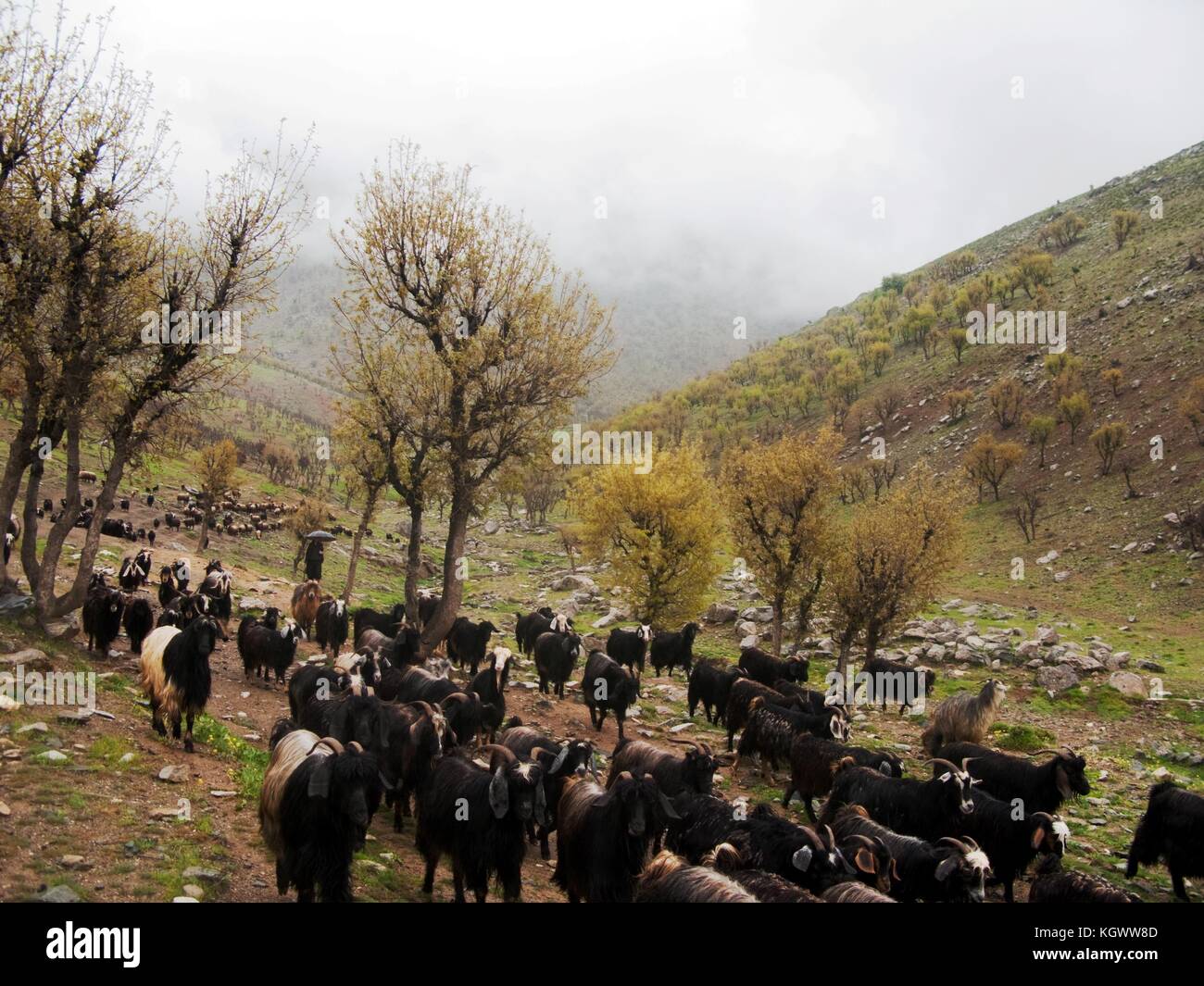 Kurdistan nature, landscape Stock Photo - Alamy