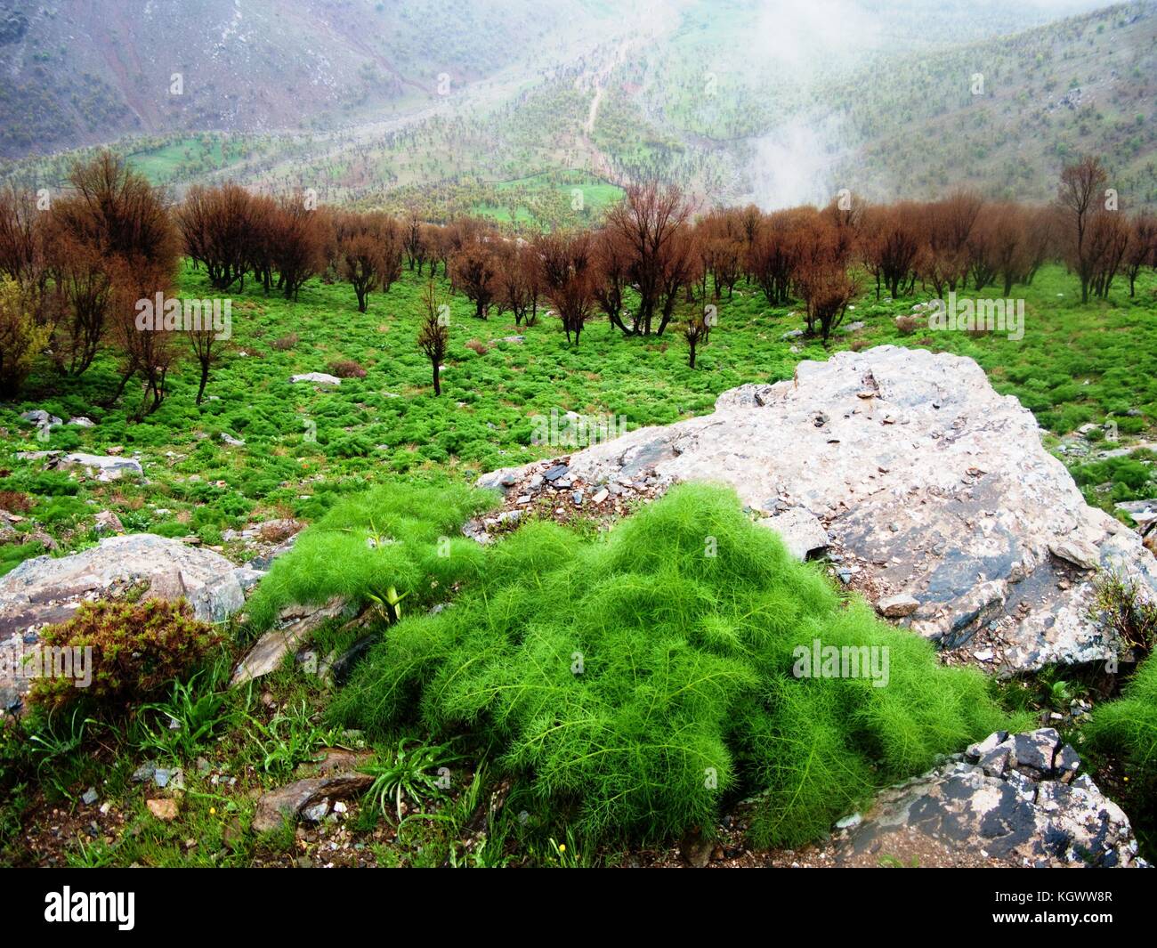 Kurdistan nature, landscape Stock Photo - Alamy