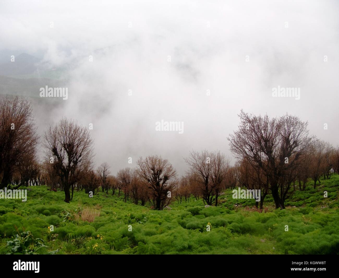 Kurdistan nature, landscape Stock Photo - Alamy