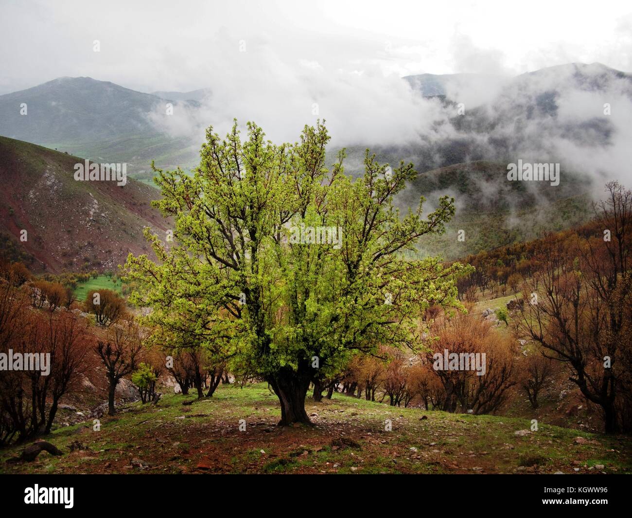 Kurdistan nature, landscape Stock Photo - Alamy