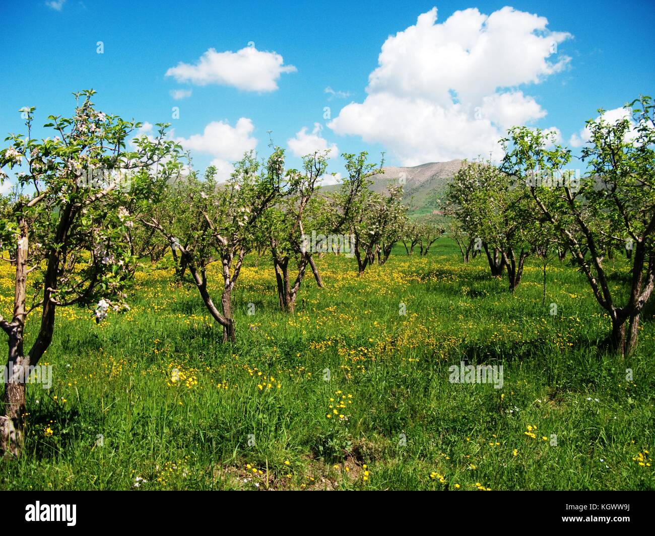 Kurdistan nature, landscape Stock Photo - Alamy