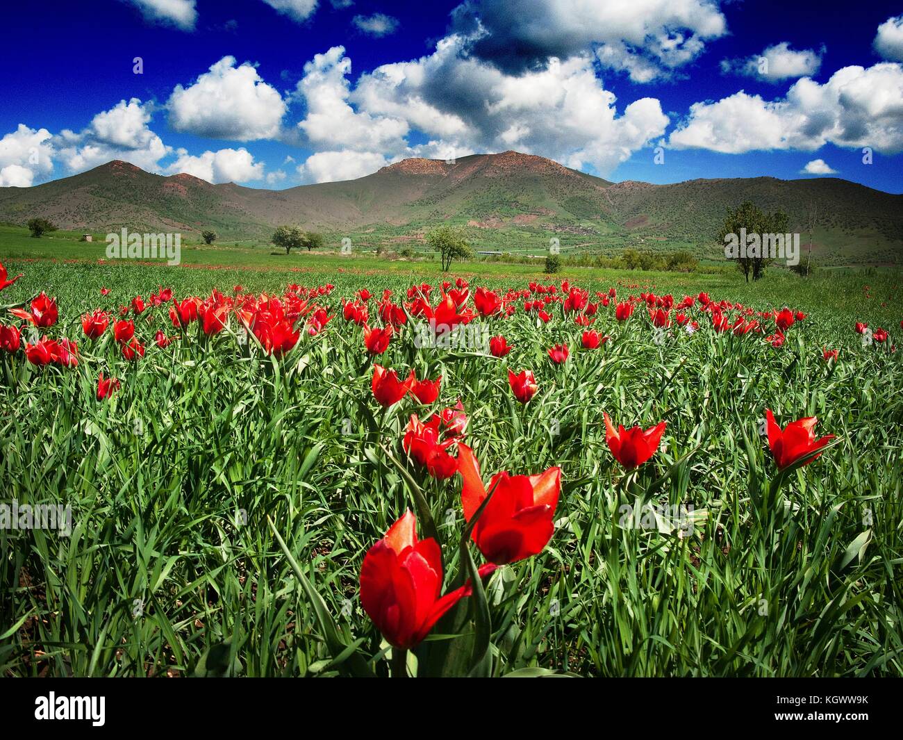 Kurdistan nature, landscape Stock Photo - Alamy