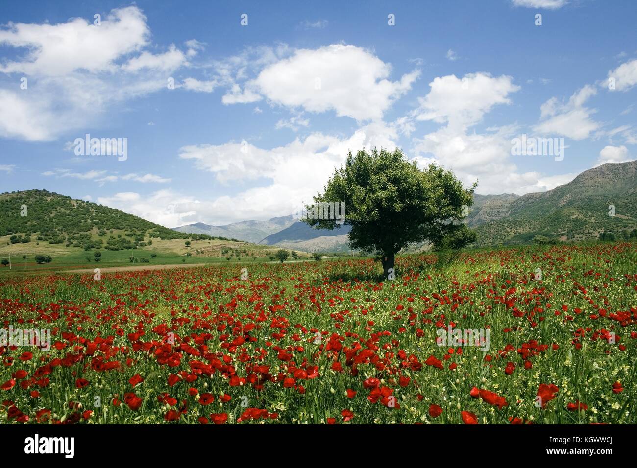 Kurdistan nature, landscape Stock Photo - Alamy