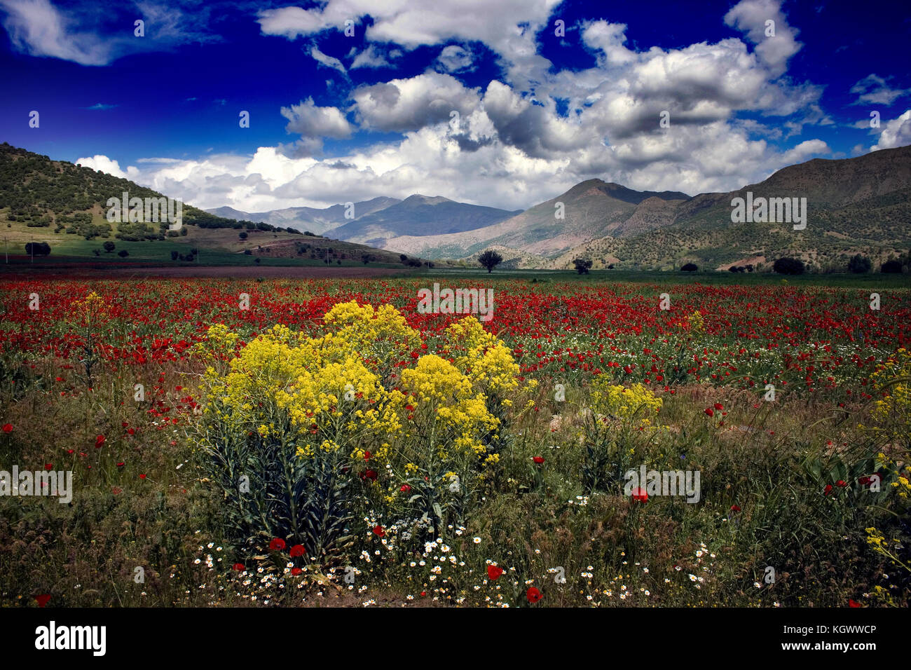 Kurdistan nature, landscape Stock Photo - Alamy