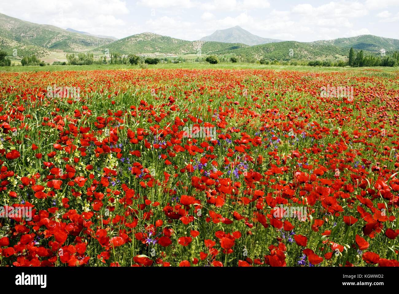 Kurdistan nature, landscape Stock Photo - Alamy