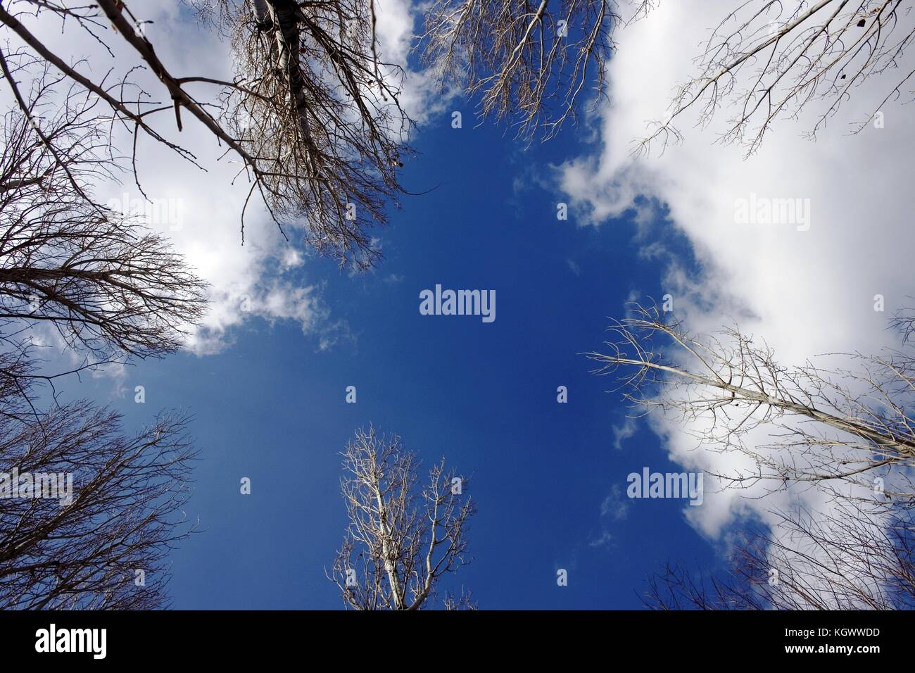 Kurdistan nature, landscape Stock Photo - Alamy