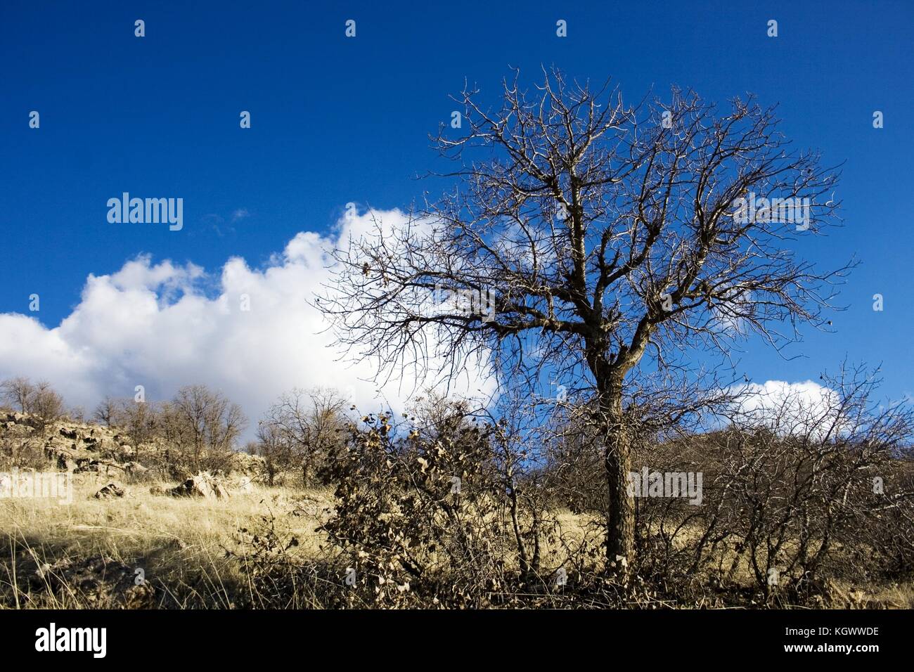 Kurdistan nature, landscape Stock Photo - Alamy