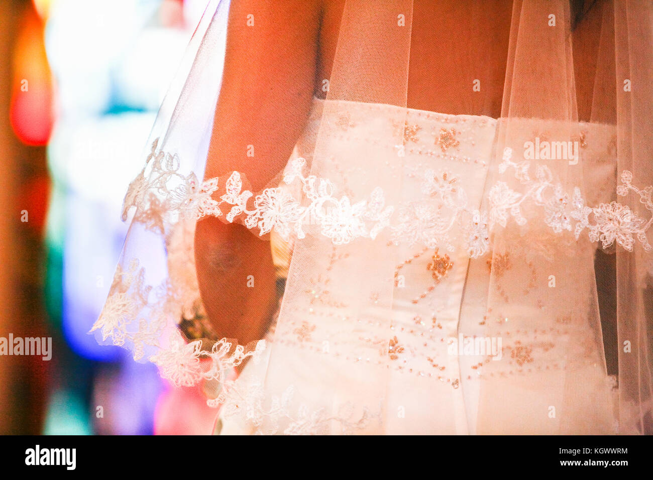 Close and back view of bride in veil at wedding ceremony Stock Photo ...