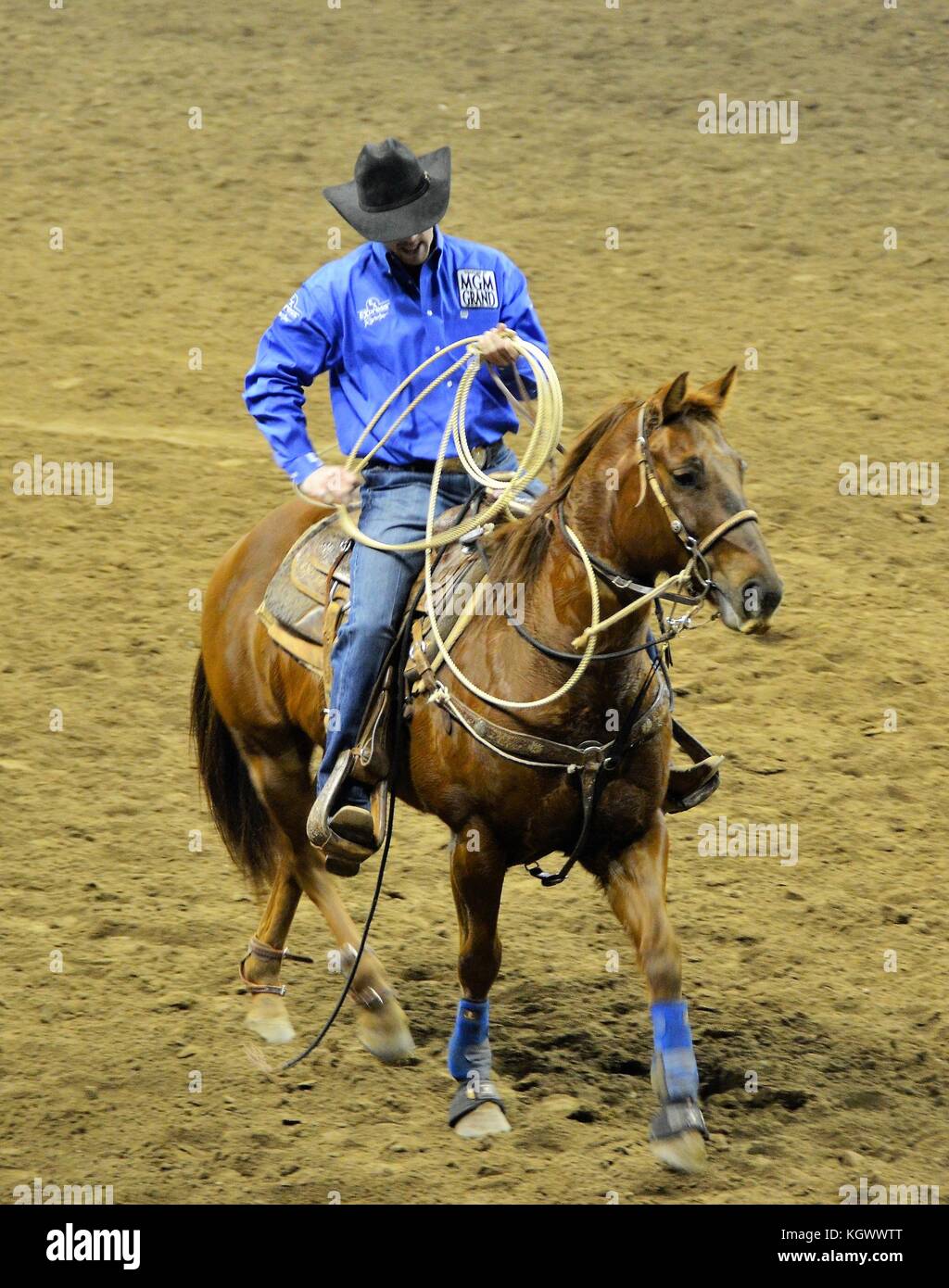 Rodeo in Denver, Colorado Stock Photo - Alamy