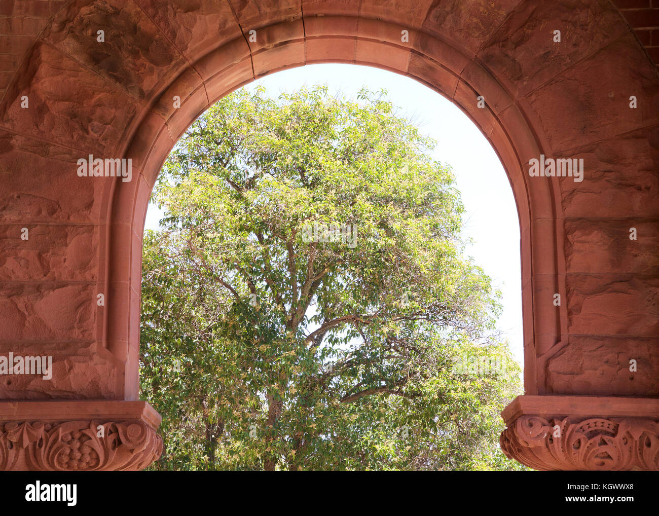 concrete archway with a tree brightly illuminated through the archway ...