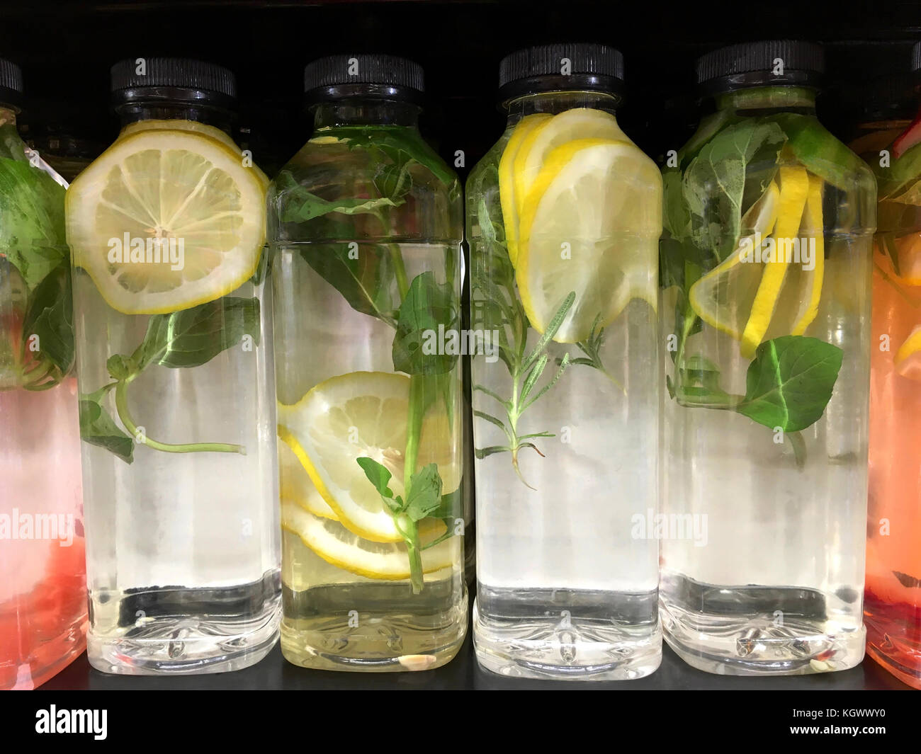 Fresh homemade mint lemon water in clear bottles with black screw top ...