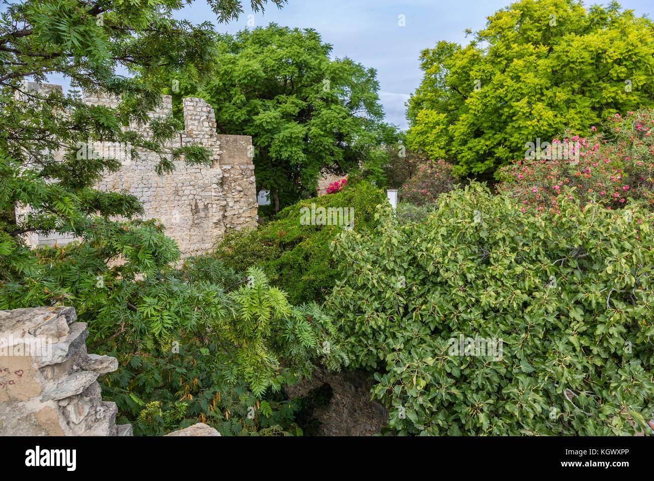 Garden of Tavira Castle in Portugal. 11th-century castle ruins ...