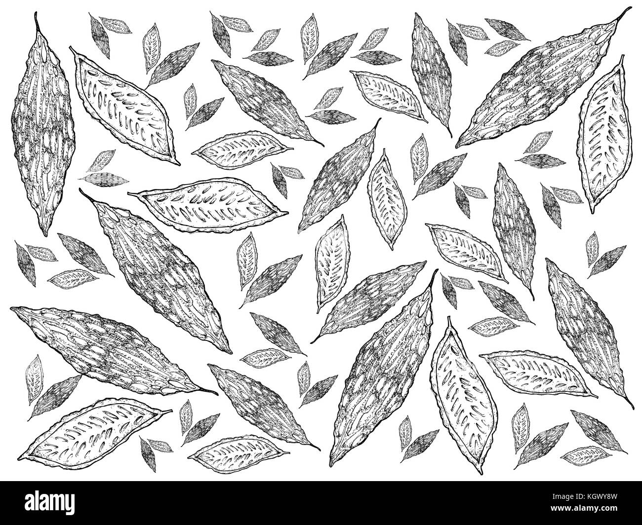 Vegetable and Herb, Illustration Background Pattern of Hand Drawn ...
