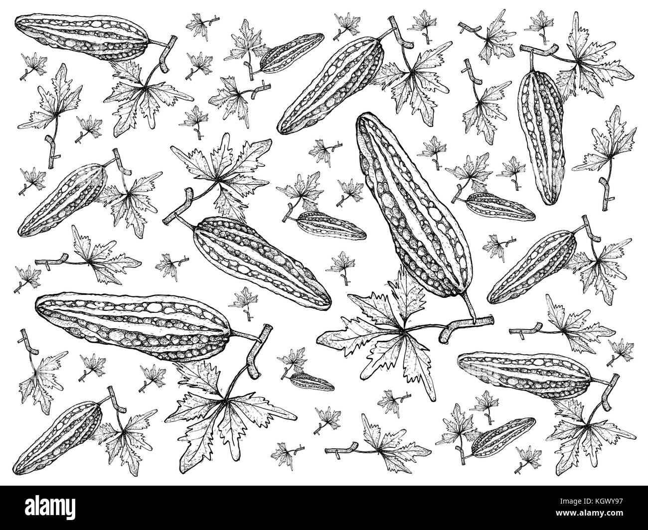 Bitter gourd background Black and White Stock Photos & Images - Alamy