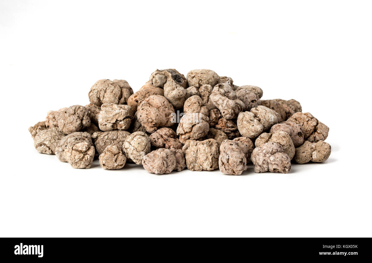 Expanded Clay Aggregate (Grow Rocks) Isolated on White Background Stock ...