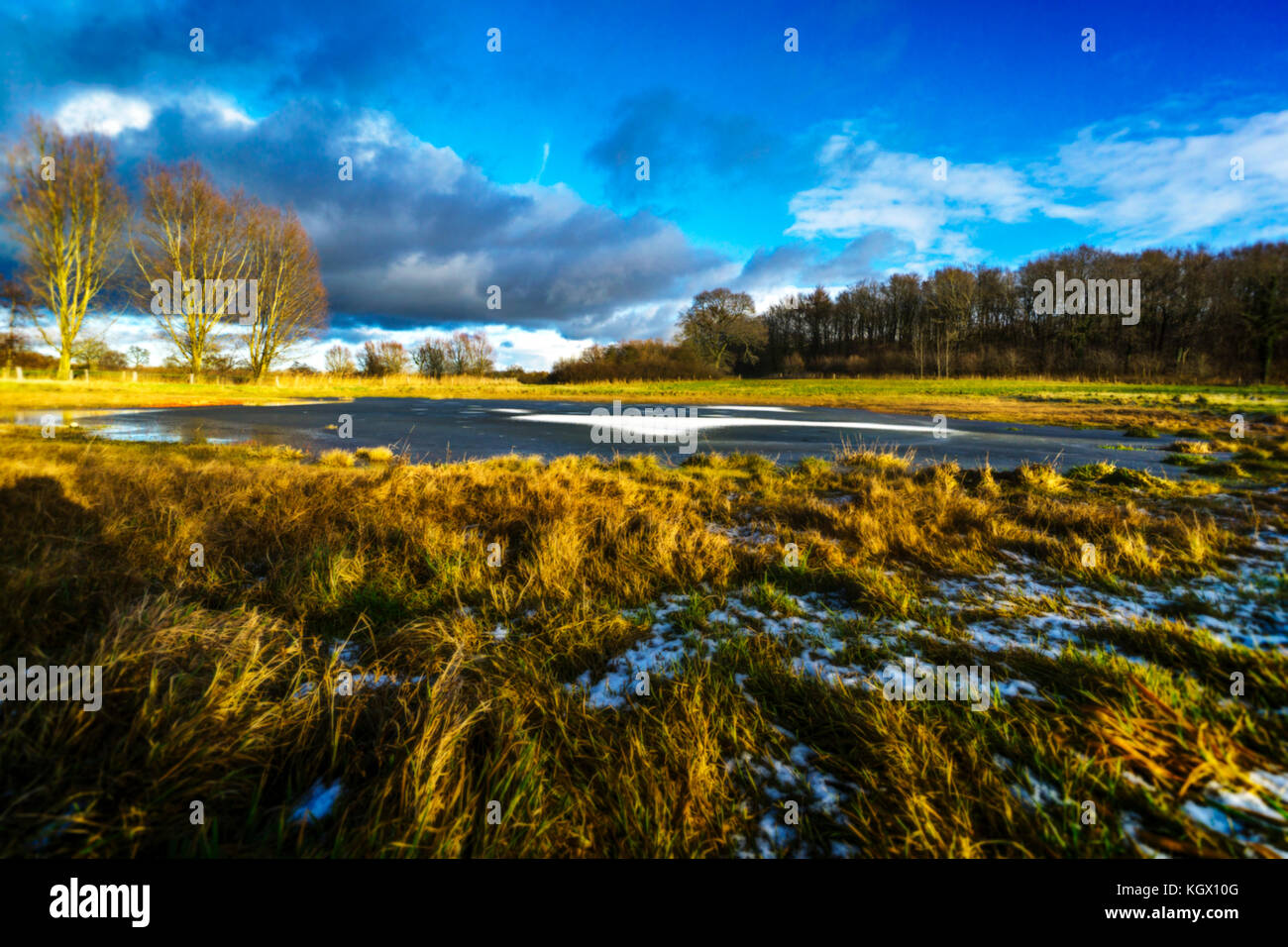 On a meadow with a half-frozen pond and a blue sky Stock Photo - Alamy