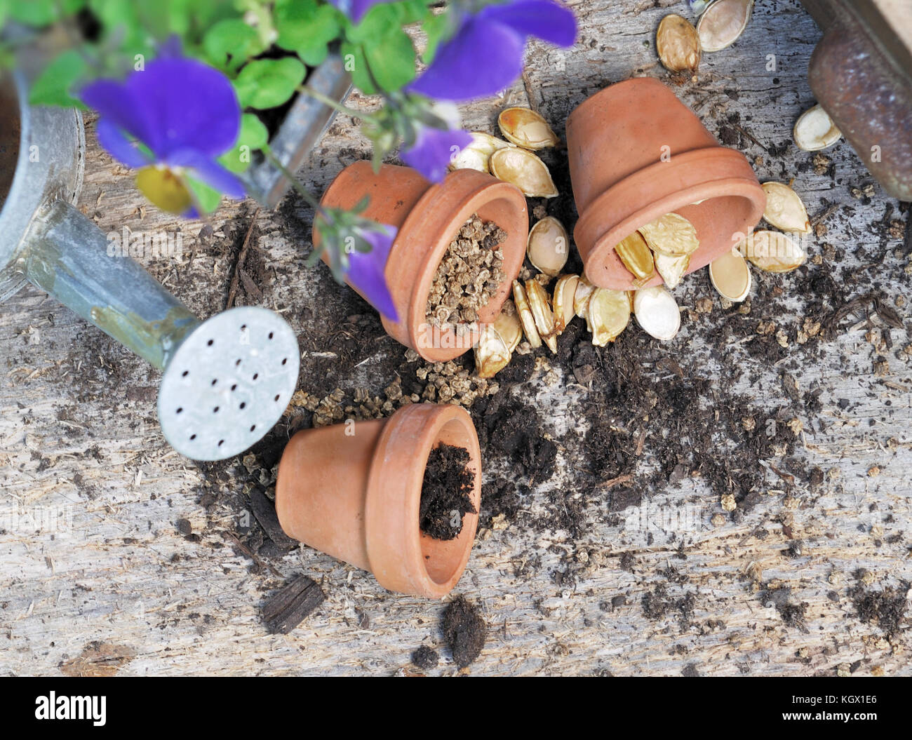 Horticulture plank hi-res stock photography and images - Alamy