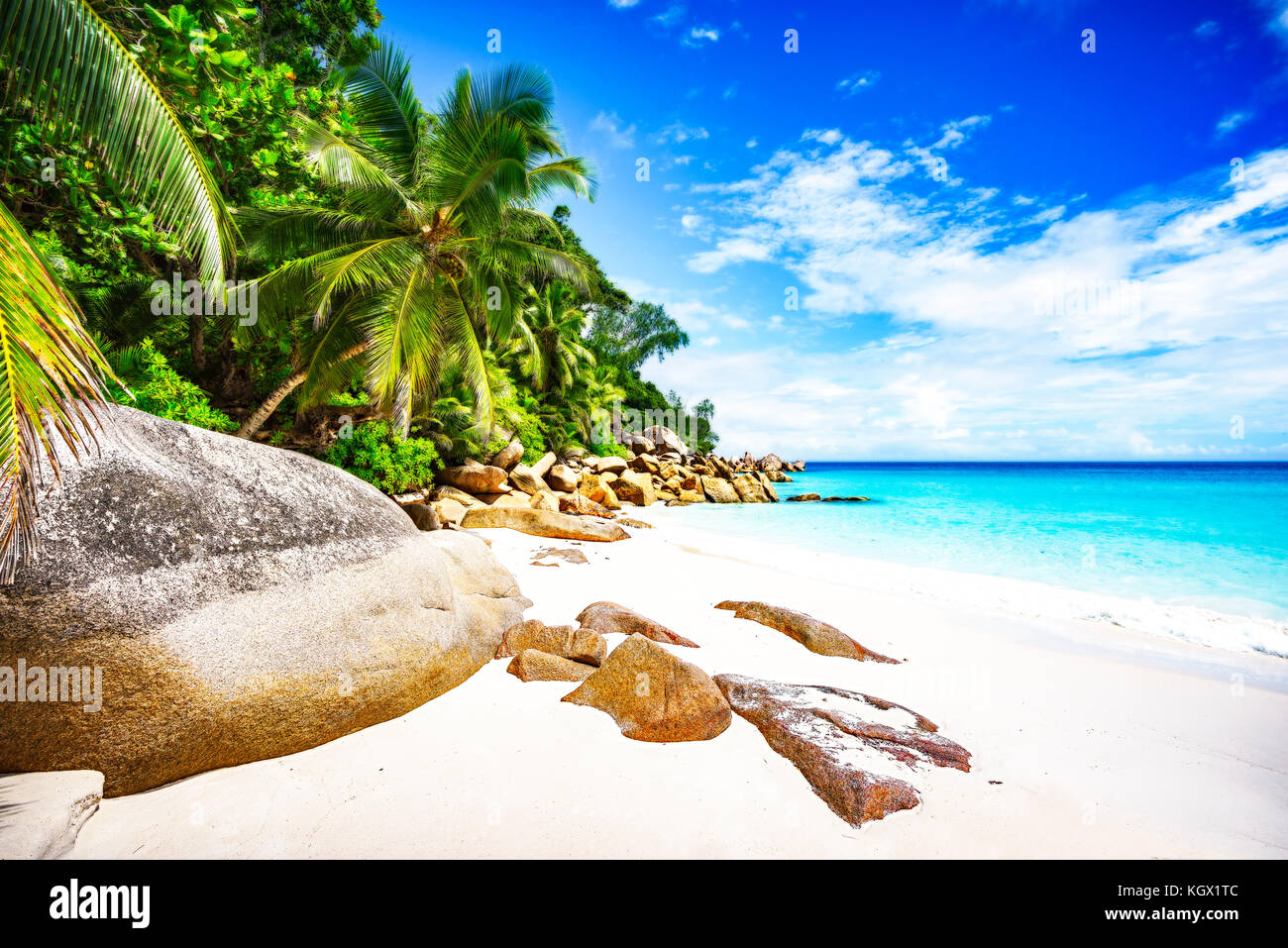 Palm trees and granite rocks in the white sand on seychelles beach ...