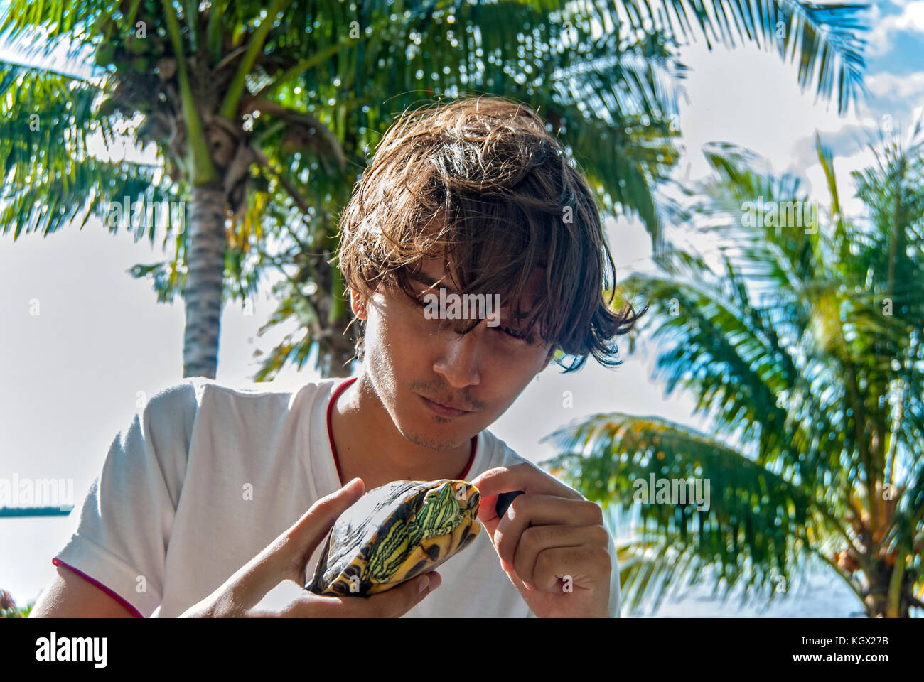 Turtle boy hi-res stock photography and images - Alamy