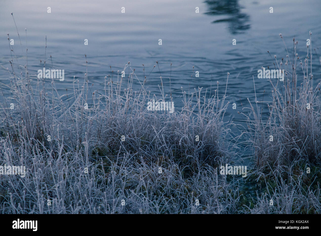 A beautiful morning landscape in a frozen swamp. Bright, colorful ...