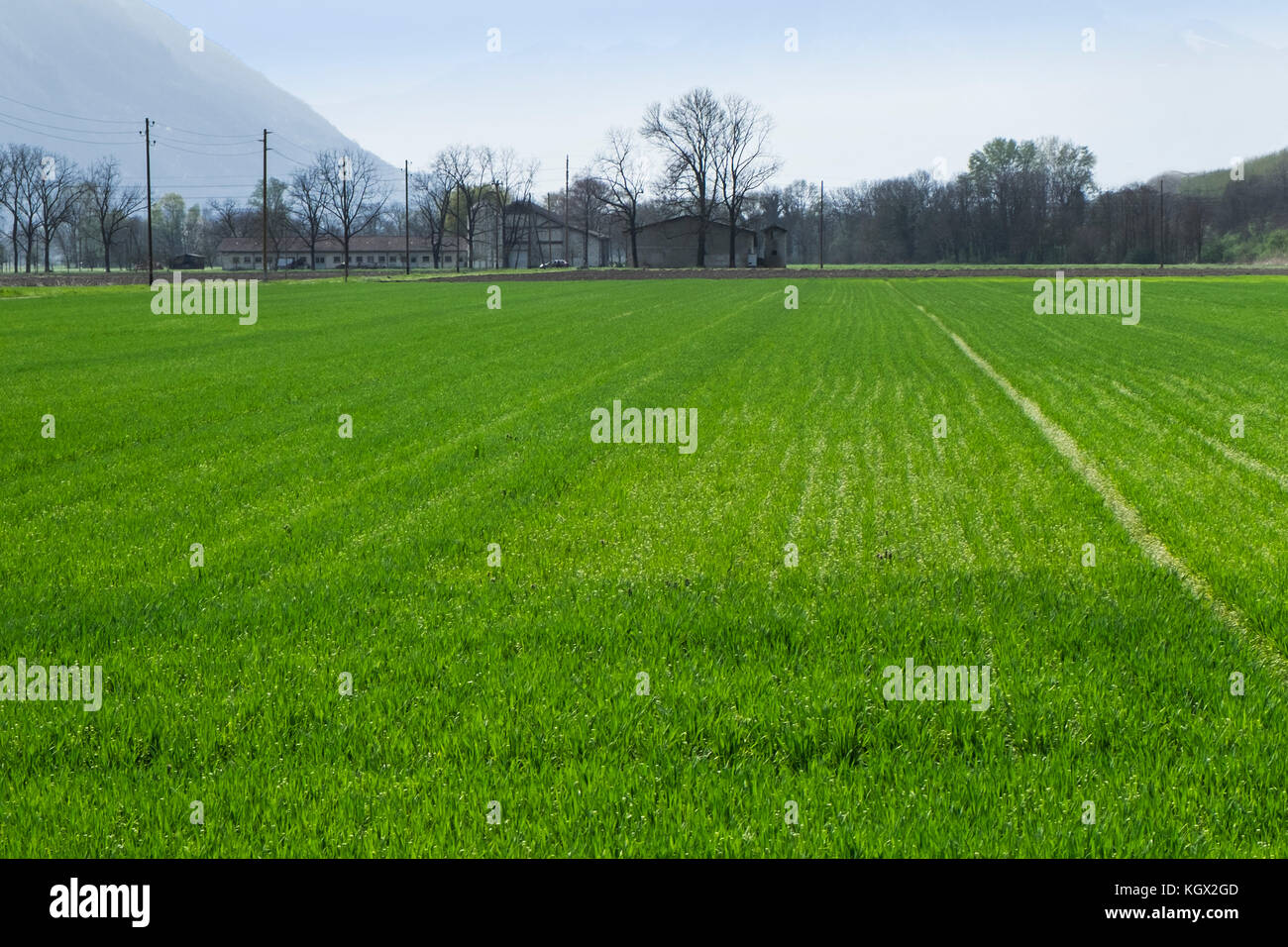 Gudo High Resolution Stock Photography and Images - Alamy