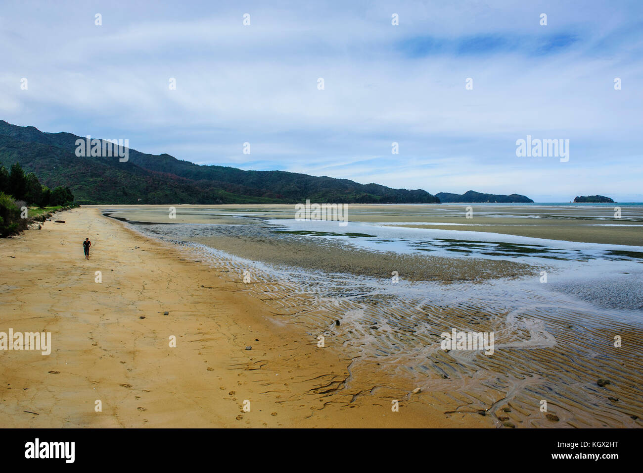 Sandy Bay at low tide, Abel Tasman National Park, South Island, New Zealand Stock Photo - Alamy