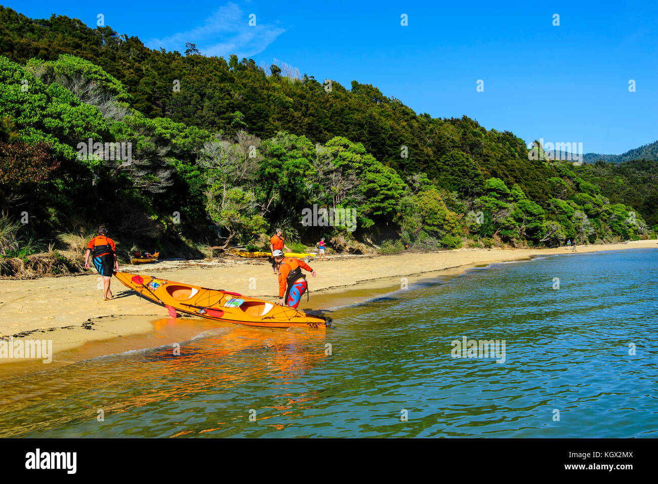 Tourists kayaking in the Abel Tasman National Park, South Island, New ...