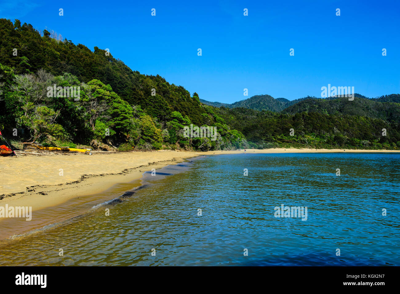 Long sandy beach, Abel Tasman National Park, South Island, New Zealand Stock Photo - Alamy