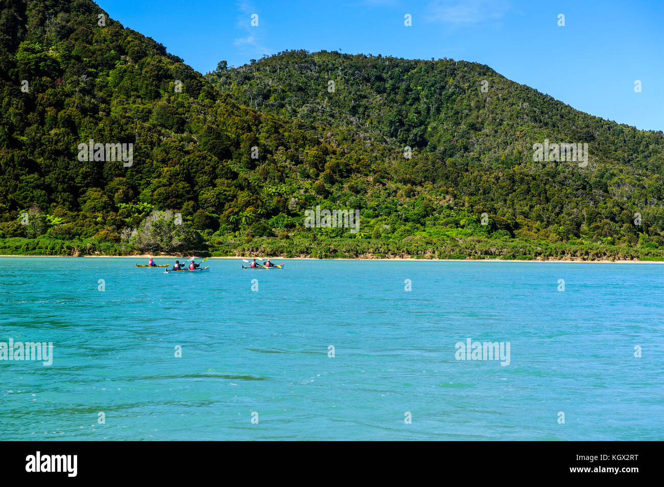 Tourists kayaking in the Abel Tasman National Park, South Island, New ...