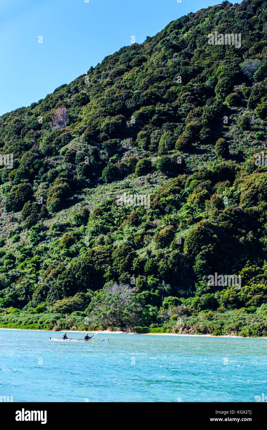 Tourists kayaking in the Abel Tasman National Park, South Island, New ...
