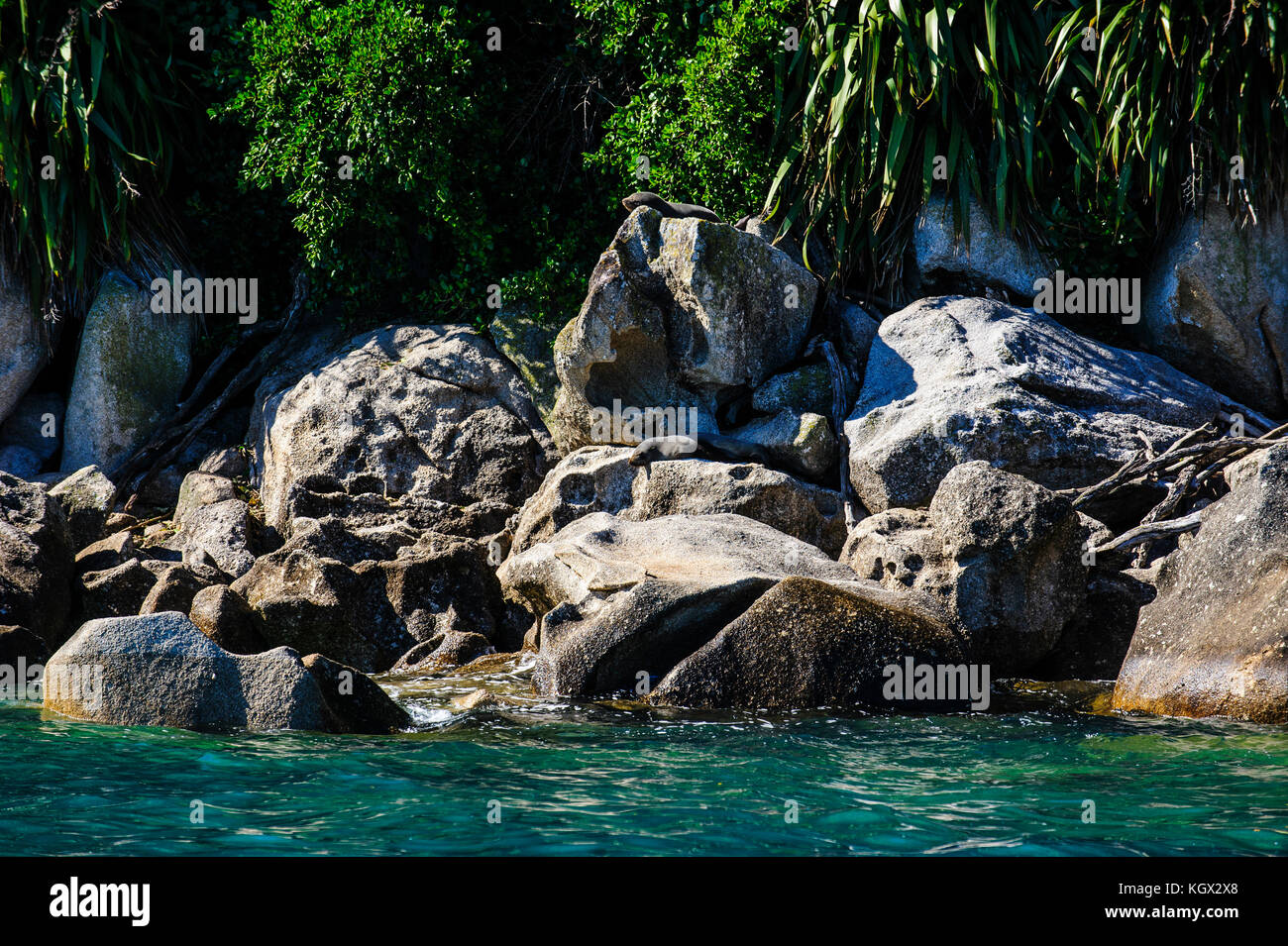 Rocky coastline of the Abel Tasman National Park, South Island, New ...