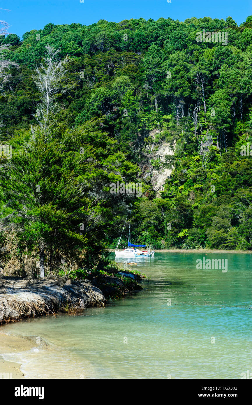 Sailing boat anchoring in the Abel Tasman National Park, South Island, New Zealand Stock Photo ...
