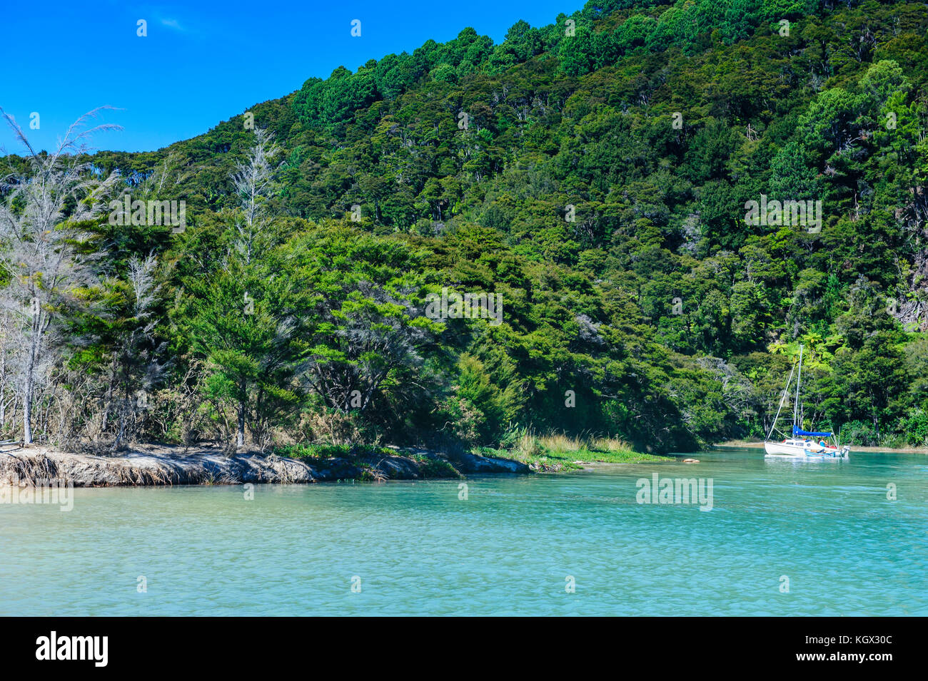 Sailing boat anchoring in the Abel Tasman National Park, South Island, New Zealand Stock Photo ...