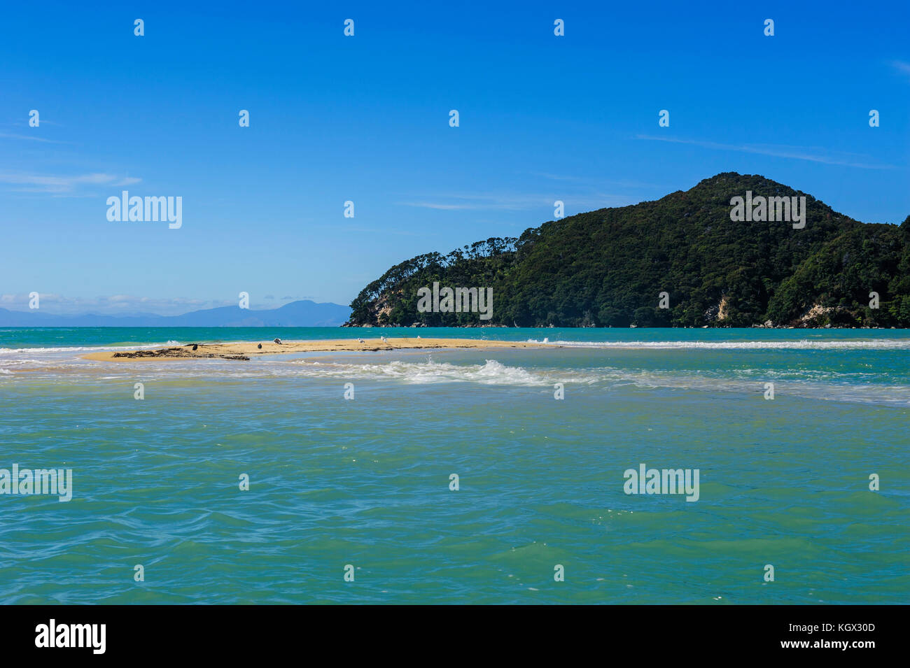 Sand split in the Abel Tasman National Park, South Island, New Zealand ...