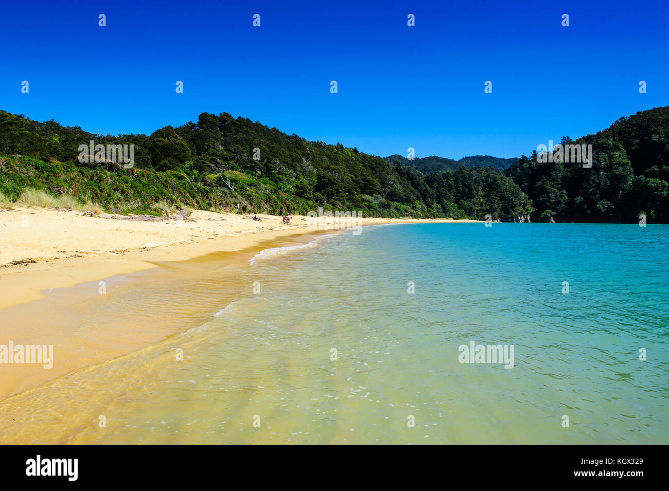 Long sandy beach, Abel Tasman National Park, South Island, New Zealand Stock Photo - Alamy