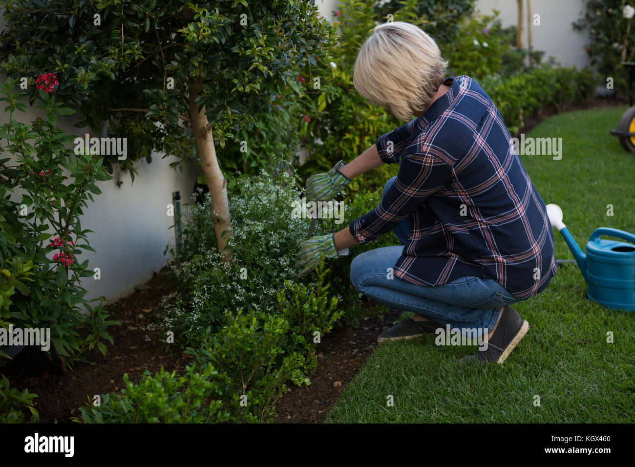 Woman pruning plants in garden on a sunny day Stock Photo - Alamy