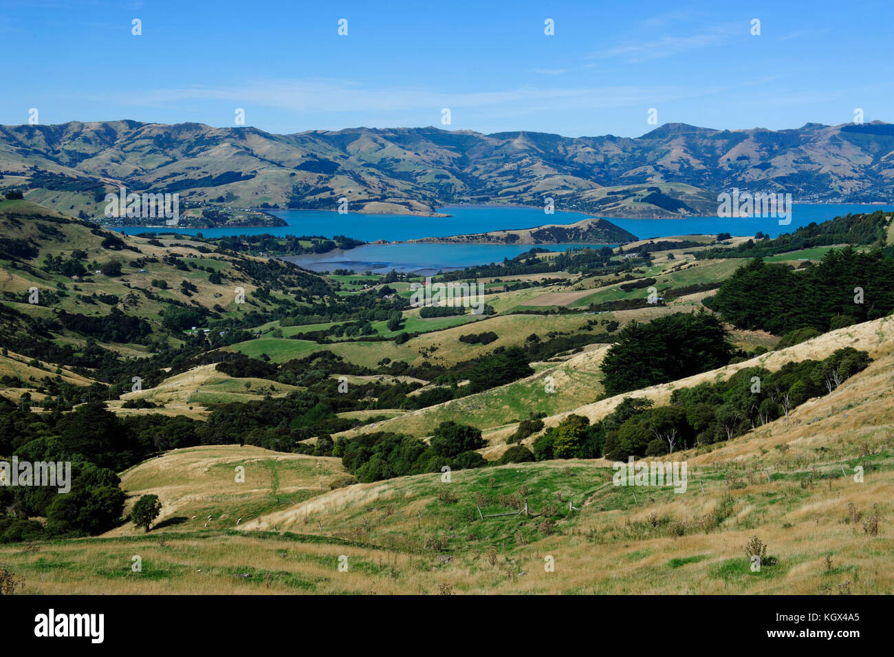 Beautiful scenery around Akaroa harbour, Banks Peninsula, South Island ...