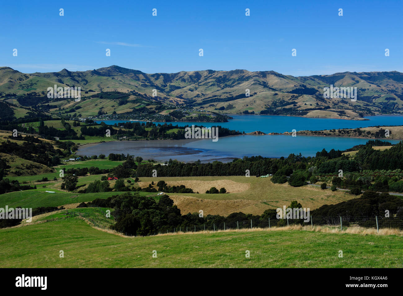Beautiful scenery around Akaroa harbour, Banks Peninsula, South Island ...