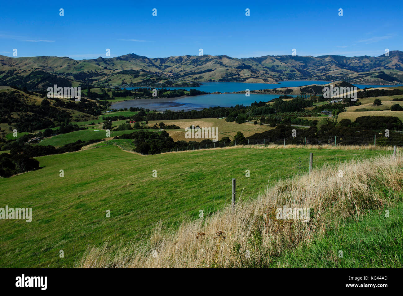Beautiful scenery around Akaroa harbour, Banks Peninsula, South Island ...