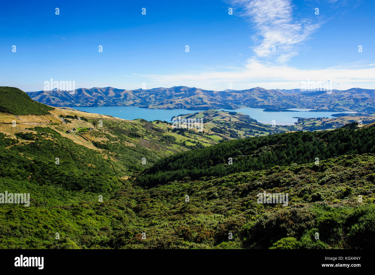 Beautiful scenery around Akaroa harbour, Banks Peninsula, South Island ...