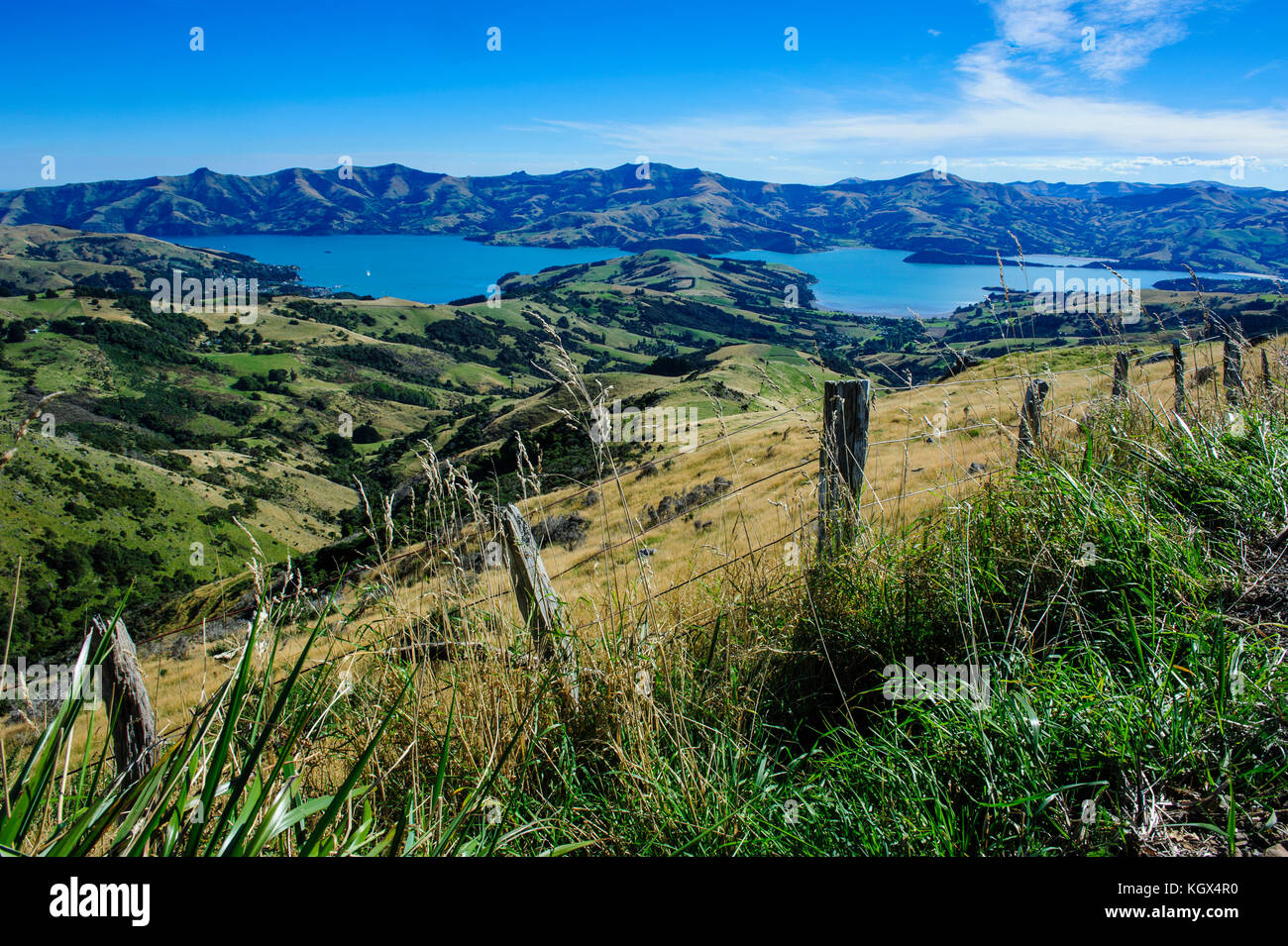 Beautiful scenery around Akaroa harbour, Banks Peninsula, South Island ...