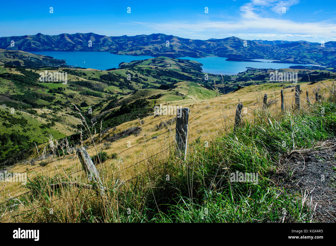 Beautiful scenery around Akaroa harbour, Banks Peninsula, South Island ...