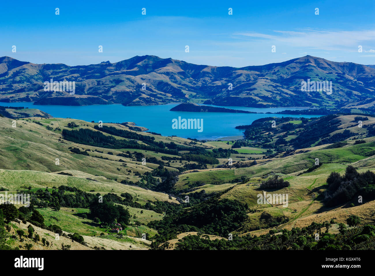 Beautiful scenery around Akaroa harbour, Banks Peninsula, South Island ...
